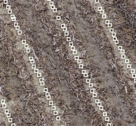 Do Variable Rate Seeding And Fertilizer Programs Pay Taranis Do Variable Rate Seeding And Fertilizer Programs Pay Taranis