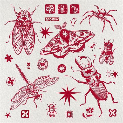 Ji Young On Instagram I Love Bugsfrom A Distance