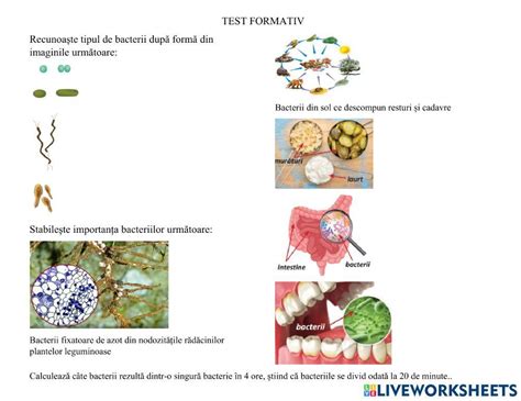 Test Bacterii Free Interactive Worksheets 5240999