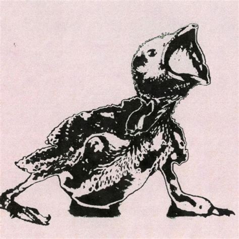 Birds Sex Mask