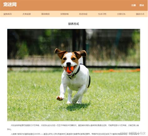 25 可爱的宠物狗网页 Web前端网页制作 大学生期末大作业 Html5css3jsdw编程小狗代码作业怎么做 Csdn博客