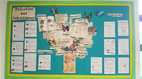 Pin By Kerry Webster On Ks2 Science Display Classroom Displays