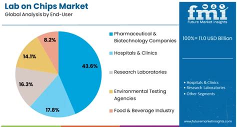 Lab On Chips Market Global Market Analysis Report 2035