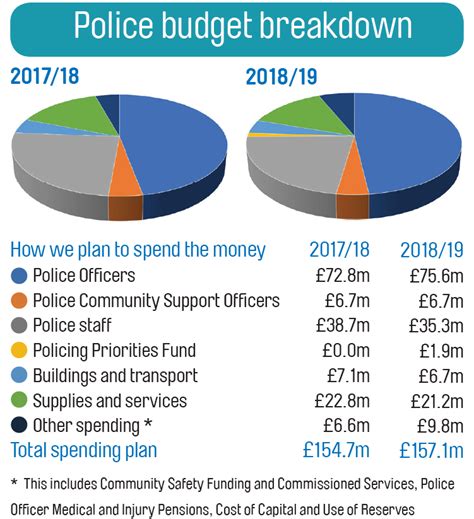 Chicago Police Budget Cut 2024 Merle Clarette