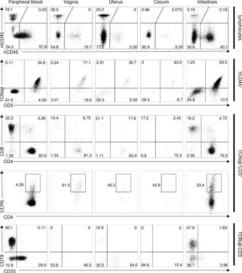 Neisseria Gonorrhoeae Co Infection Exacerbates Vaginal HIV Shedding Without Affecting Systemic