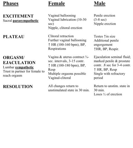 Principaux modèles de la fonction sexuelle Flashcards Quizlet