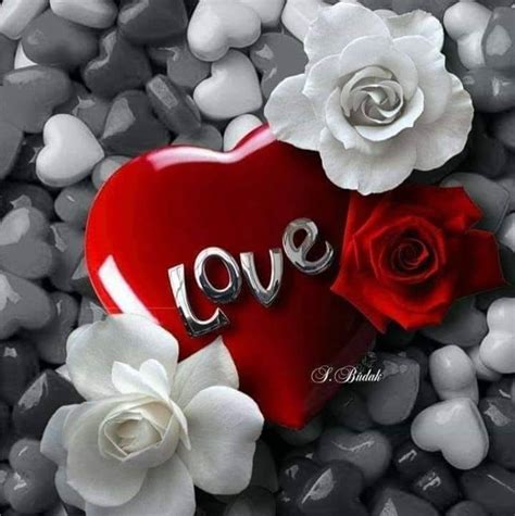 مشاكل وفضفضه زوجيه Cairo