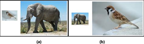 Possible Stimuli For Our Modified Stroop Task In A The Size Of Each Download Scientific