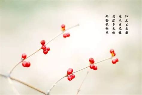 这个夜晚让王维的小清新洗涤你疲倦的心灵