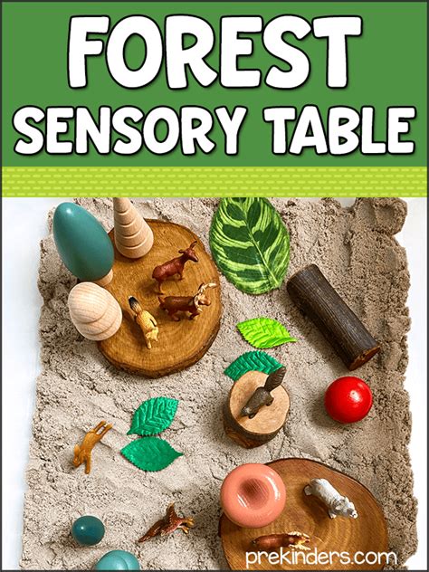 Forest Sensory Table Ideas For Preschool Exploration Prekinders Preschool Activities
