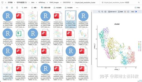 空间转录组零代码全流程分析教程，代做各领域分析和辅导 知乎