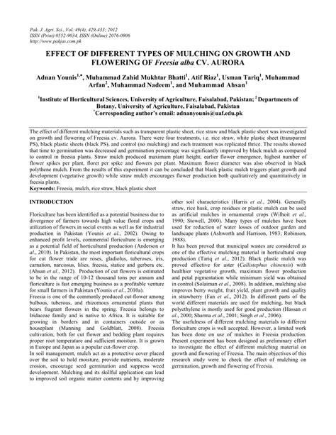 Pdf Effect Of Different Types Of Mulching On Growth And Flowering Of Freesia Alba Cv Aurora
