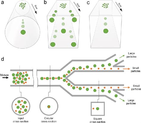 Viscoelastic Focusing And Sorting Of Particles A Viscoelastic