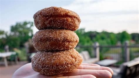 Valas Pumpkin Patch Top 10 Foods You Must Try This Fall