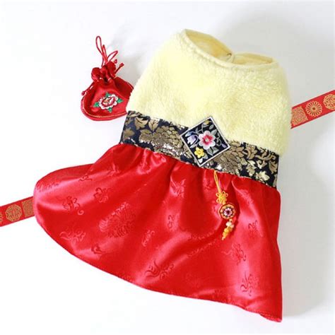 따뜻한 강아지 한복 추천 10가지 설날에 입히기 좋아요 비마이펫 라이프