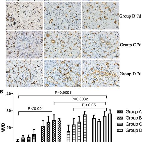 Immunohistochemical Staining Of Endometrial Cd31 And Mvd A Download Scientific Diagram