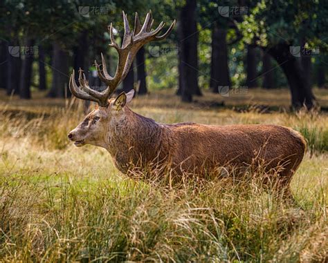这是如何实现的