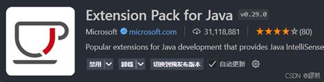Vscode Java开发常用插件vscode Java开发插件 Csdn博客