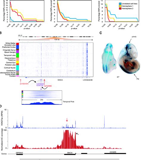 Association Between Cis Regulatory Dna Elements And Pd Associated Snps