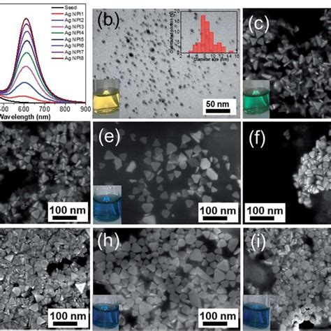 A Uv Vis Absorbance Spectra Of Silver Nanoplates As A Function Of