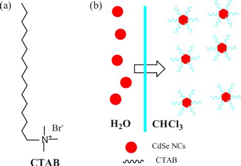 Color Online A Molecular Structure Of The Surfactant Ctab And B Download Scientific Diagram