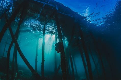 Subsea Umbilical Riser And Flowline Installation Eet Oil And Gas