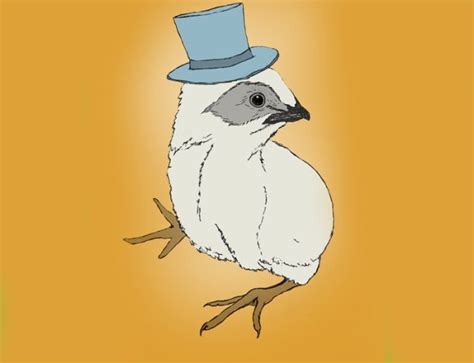 The 10 Best Karoky Songs Serious Business By Nicholas Ortenzio Medium