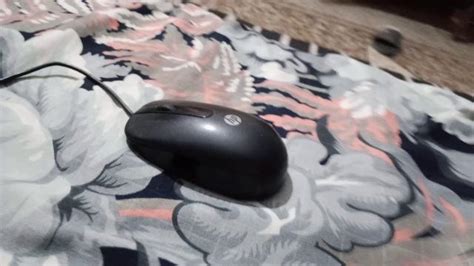 Mouse Object Detection Dataset By Object Detection