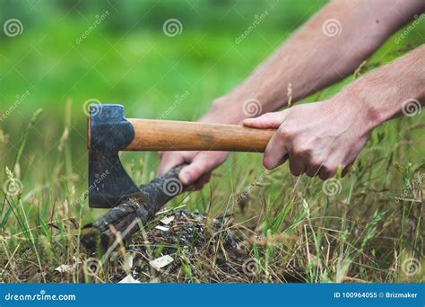 Man Is Chopping Wood With Axe Stock Image Image Of Prepared Conditions