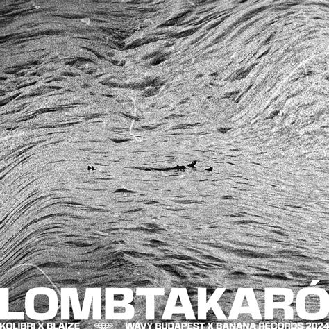 Kolibri Hun And Blaize Hun Monddki Lyrics Genius Lyrics