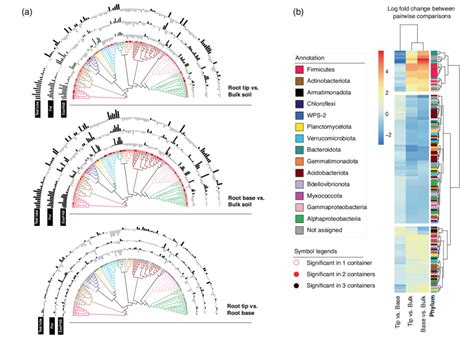 扩增子 宏基因组，11分经典分析思路！ 知乎