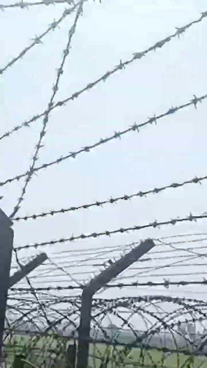 পহেলা বৈশাখ ইন্ডিয়া বাংলাদেশ বর্ডার। কোন লোক নেই। Youtube