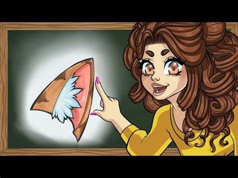 How To Draw Cat Ears YouTube Cat Drawing Drawings Draw