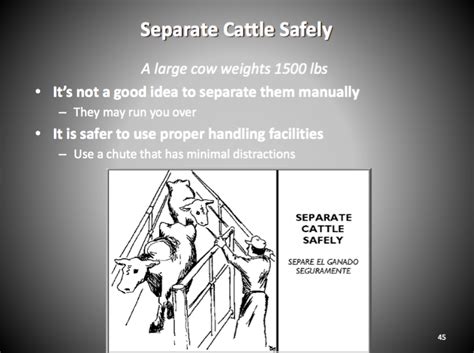 Lab 2 Anaesthesia And Nerve Blocks What Are The Common Anaesthesic
