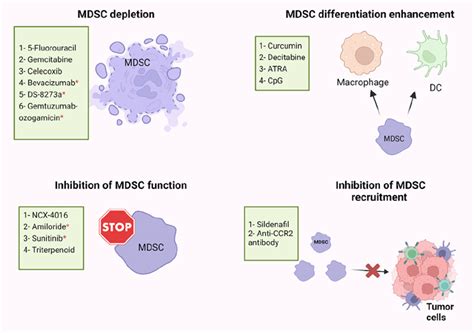 Myeloid Derived Suppressor Cells In Colorectal Cancer Prognostic