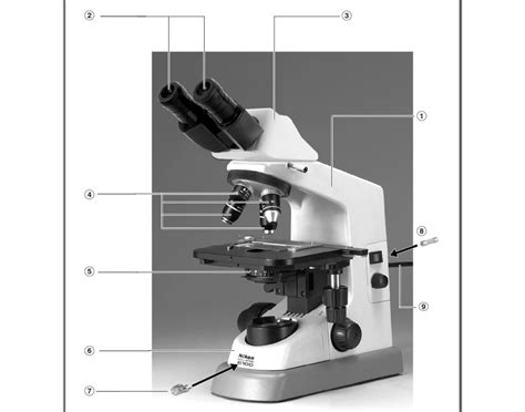 Labelling Parts Of The Microscope Quiz