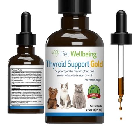 Best Cat Food For Hyperthyroidism Top Picks For Healthy Felines Vet