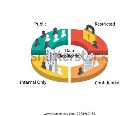 Data Classification Process Organizing Data Into Stock Vector Royalty Free 2228460485