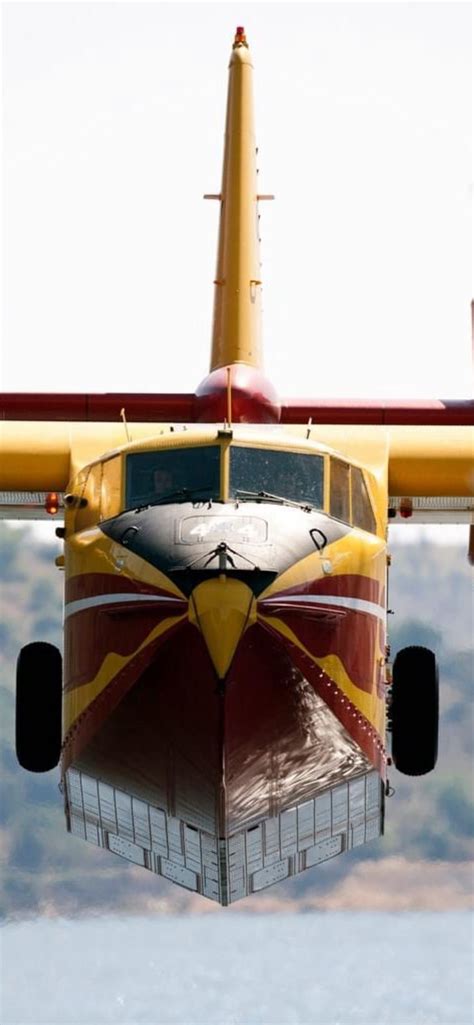 Stephane Deloison Posted On Linkedin