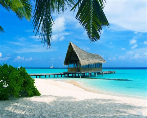 🔥 50 Bahamas Beaches Wallpapers Wallpapersafari