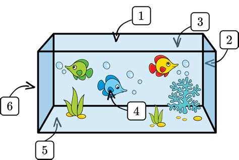 Rectangular Prism Definition Properties Examples Questions
