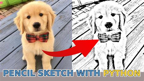 Pencil Sketch Image With Python In This Tutorial Ill Show You How We