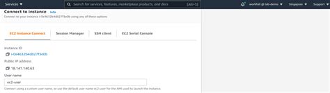 How To Install And Run Docker Containers On Amazon Ec2 Instance The