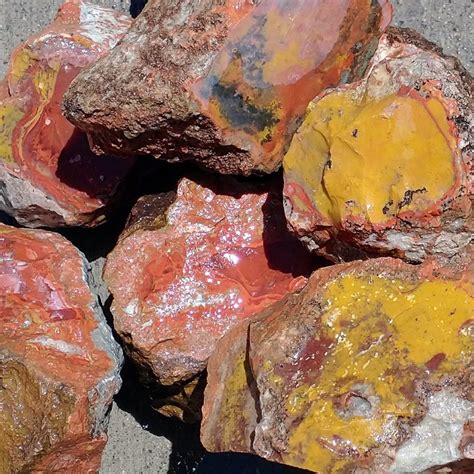 What Is The Difference Between Jasper Agate Chalcedony Flint And Chert Lapidary Slab