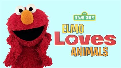 Sesame Street Elmo Loves Animals On Apple Tv
