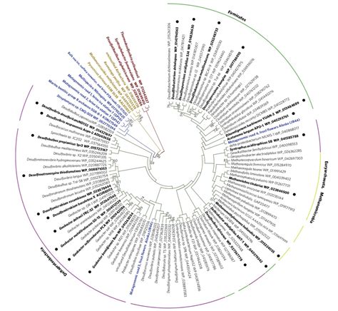 Microbial Mercury Methylation In Antarctic Sea Ice