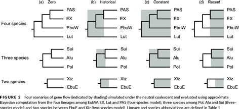 For Each IM Model We Ran Analyses Of 20 Markov Chains With Heating Download Scientific Diagram