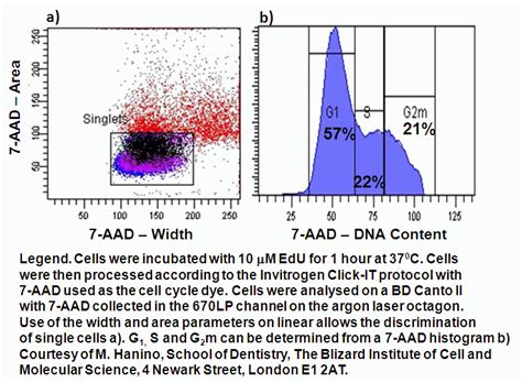 Cell Cycle Analysis Flow Cytometry Core Facility