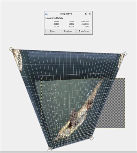 Gimp Newby Transformation Tools