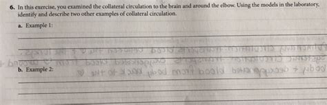 Solved 6 In This Exercise You Examined The Collateral